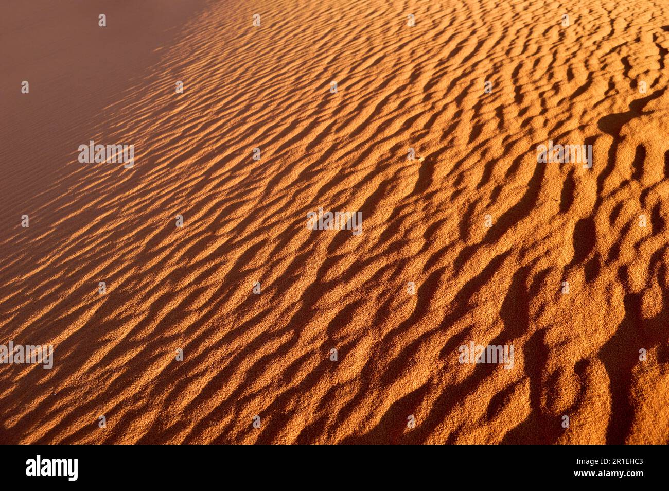 close up of a waves of sand makes by the wind of the desert Stock Photo ...
