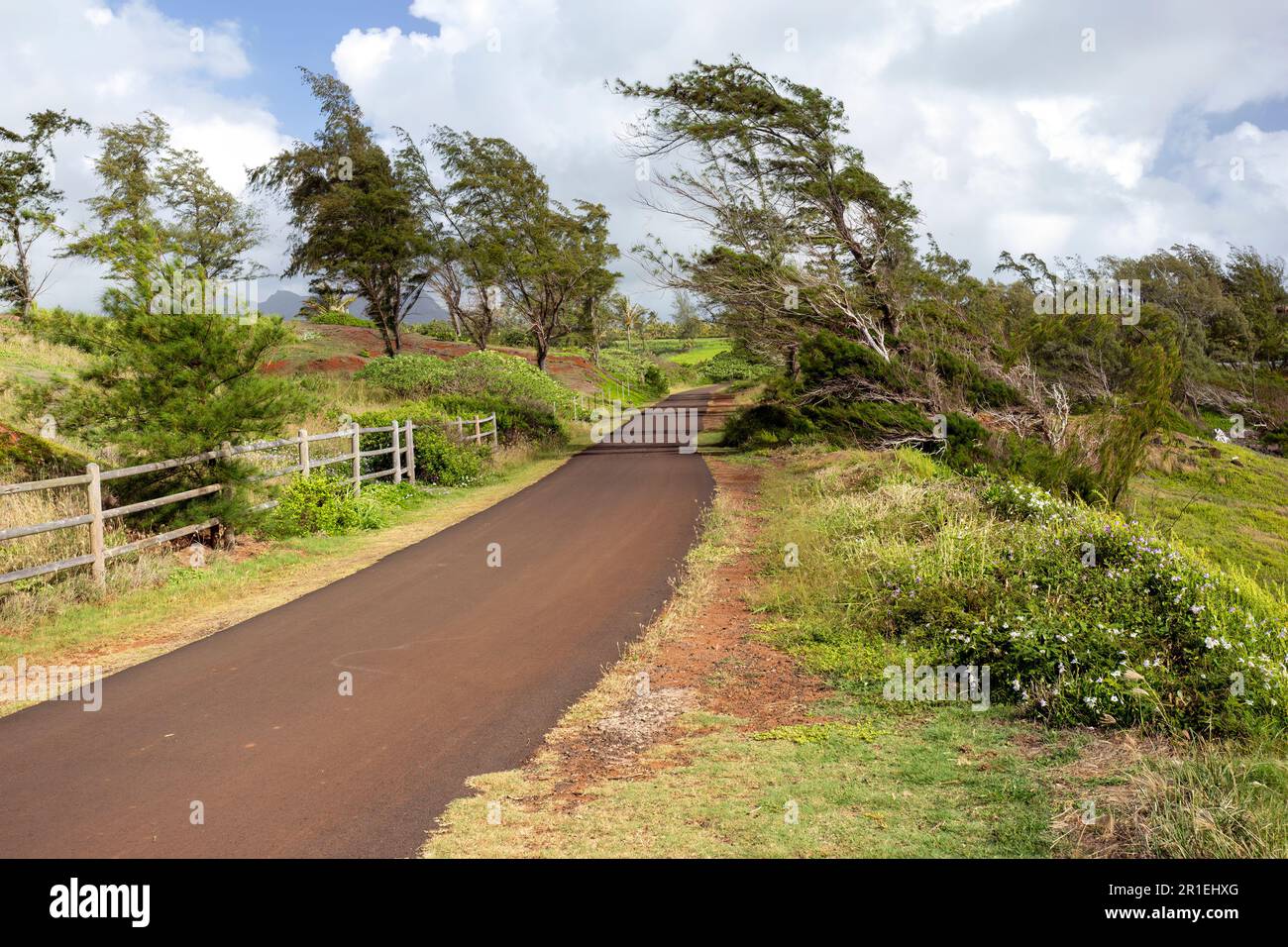 Kapaa Bike Path located on the island of Kauai, Hawaii. Also known as Ke Ala Hele Makalae. Path ...