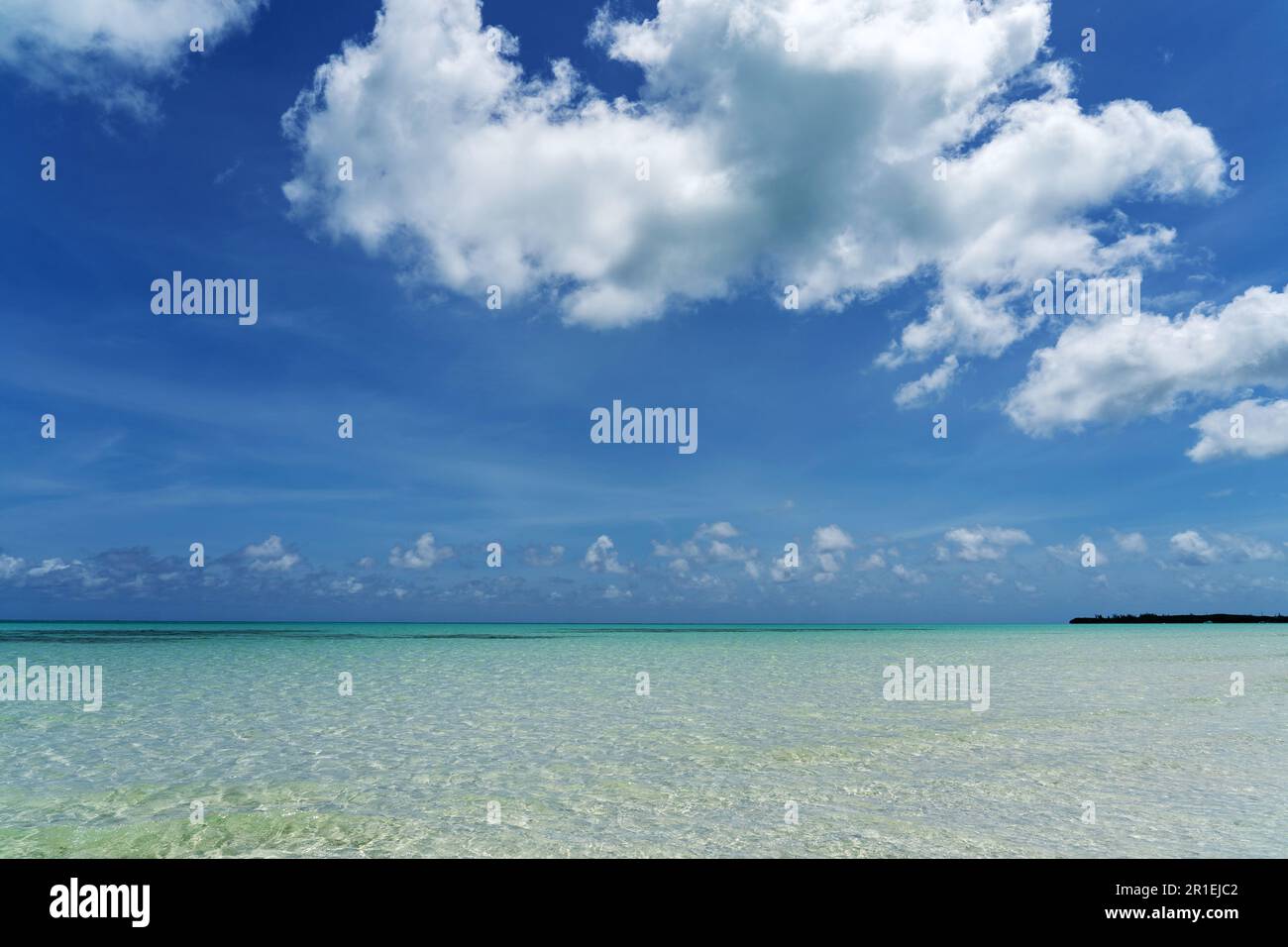 Beautiful Sandbar on the Spanish Wells in the Bahamas Stock Photo - Alamy