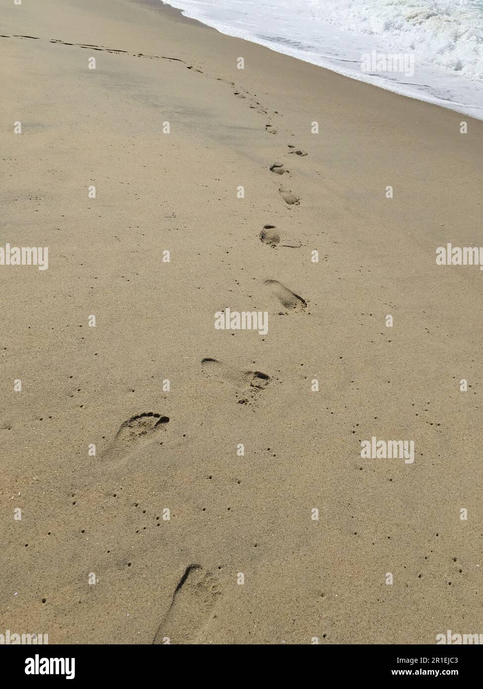 Footprints in the sand at Carlsbad State Bach in Carlsbad, California ...