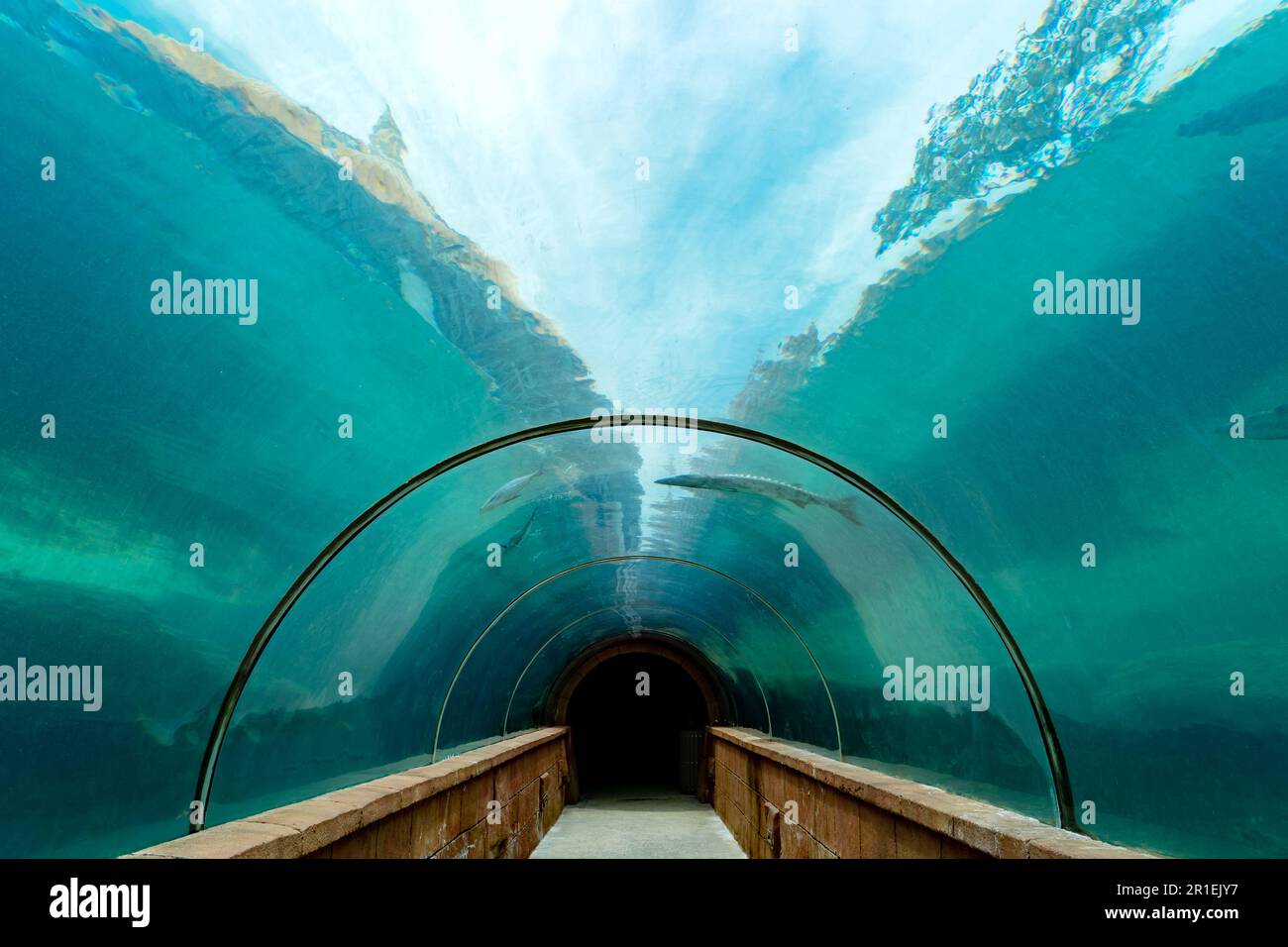Tunnel underwater hi-res stock photography and images - Alamy