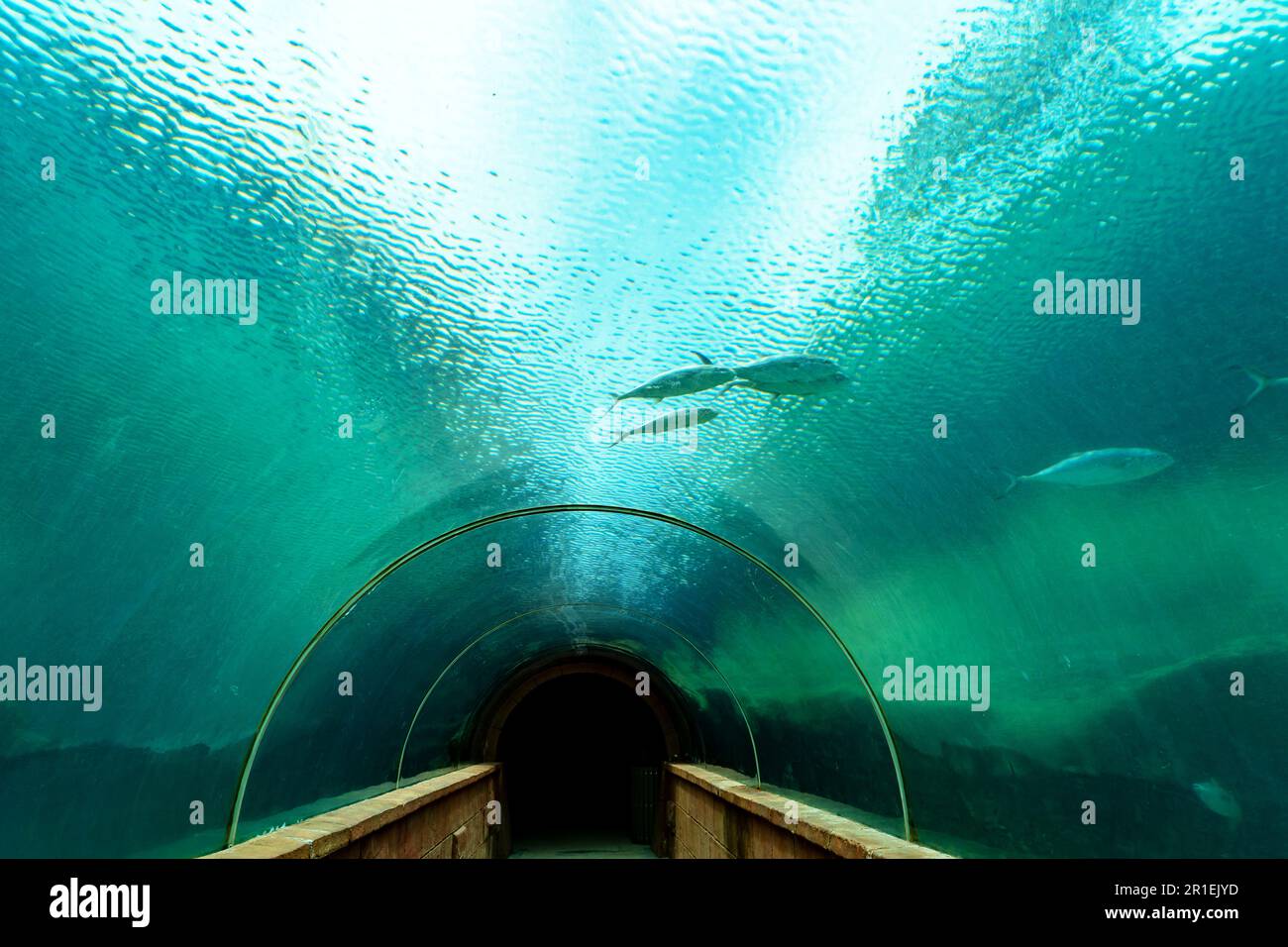 Tunnel underwater hi-res stock photography and images - Alamy