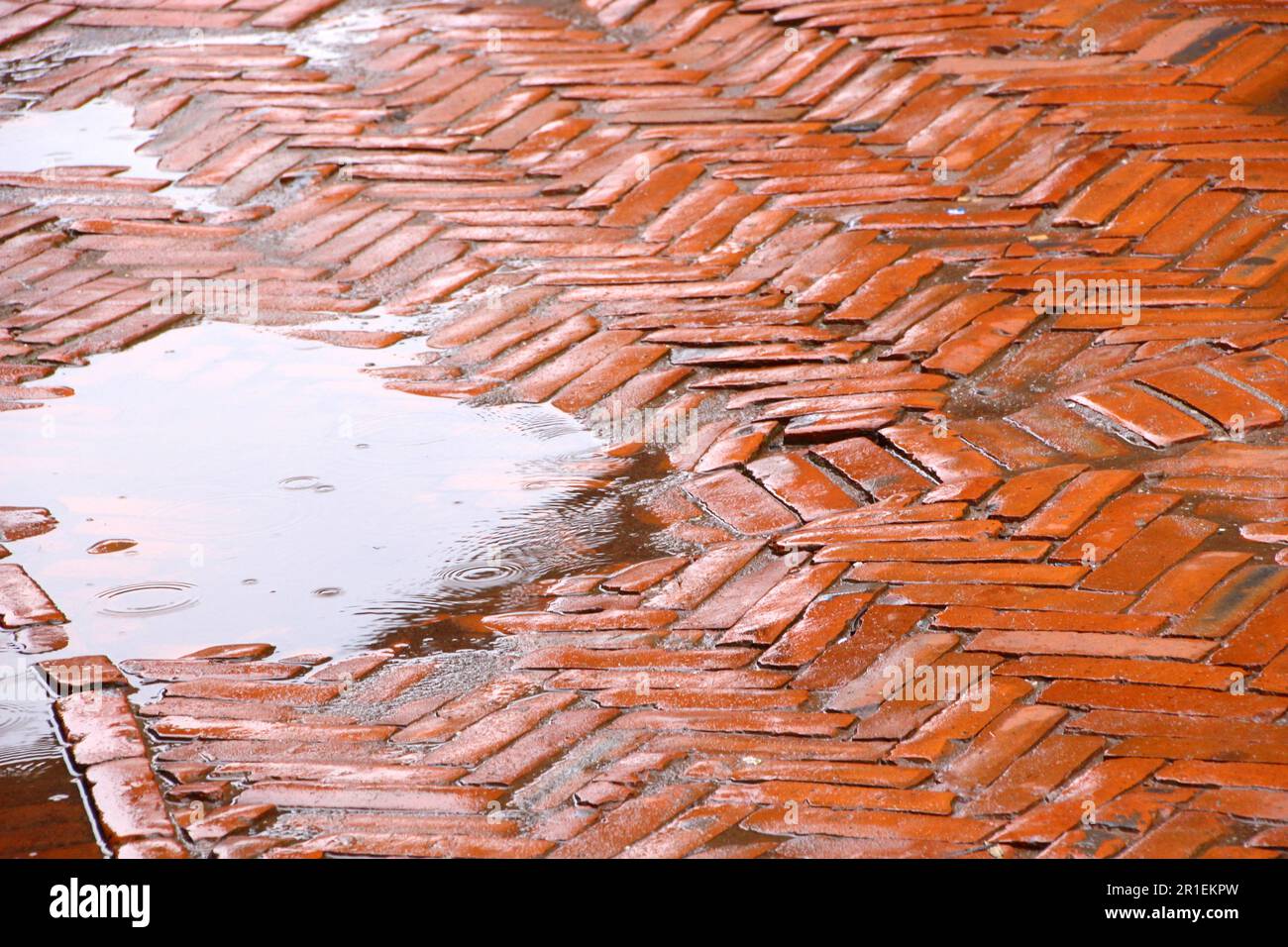 Rainy day, puddle of water on brick floor in a v shape Stock Photo - Alamy