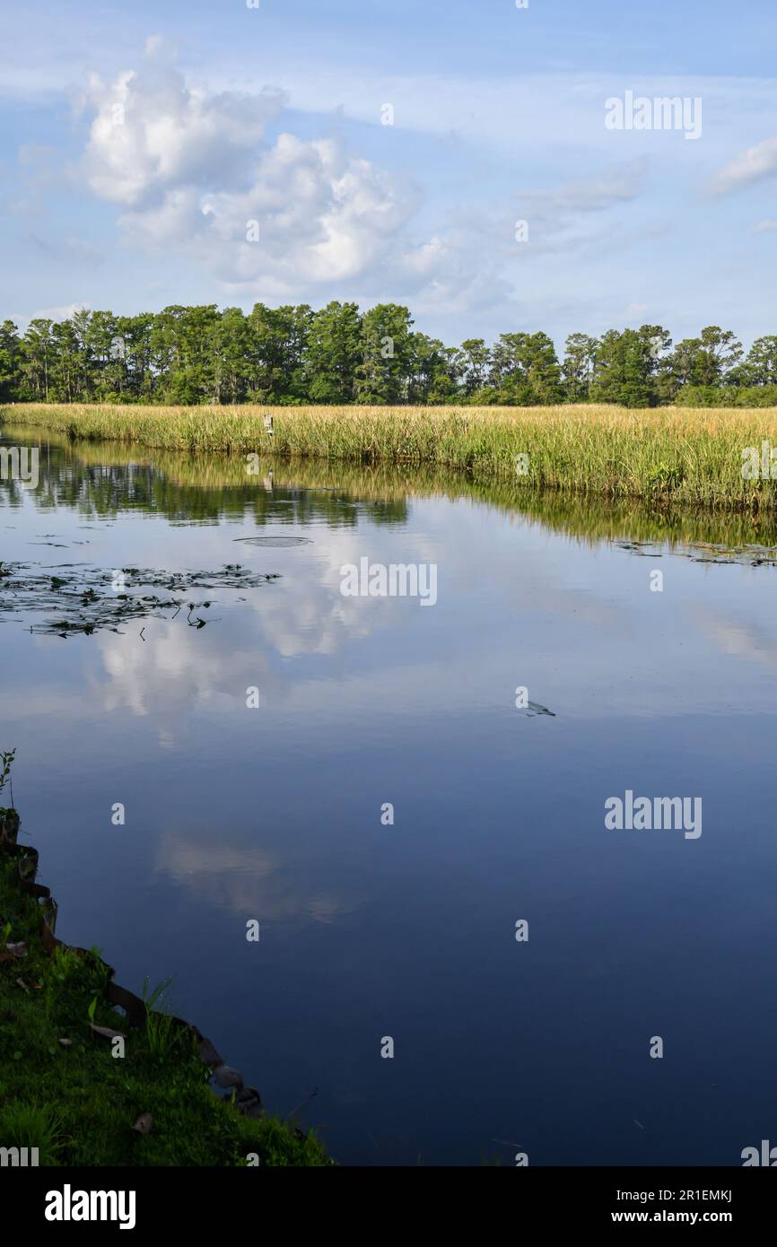 Reflections of the blue sky and calm waters along the inland waterways ...