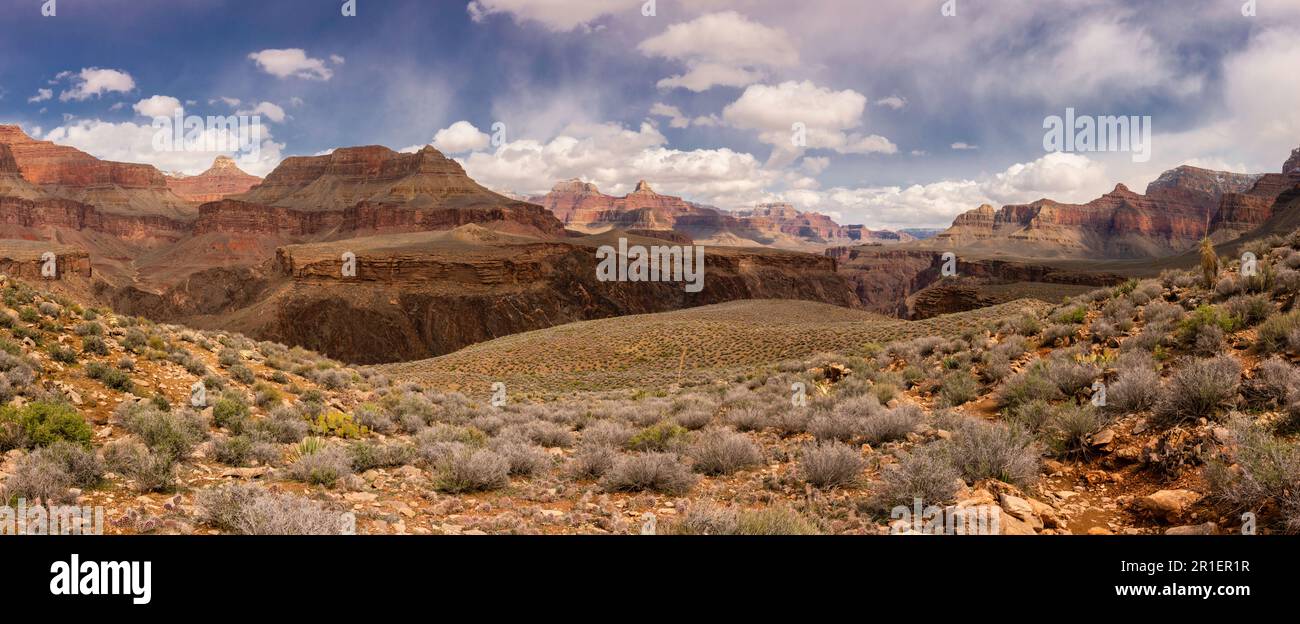 Zoroaster Temple in the distance. Along the Tonto Trail, Grand Canyon ...
