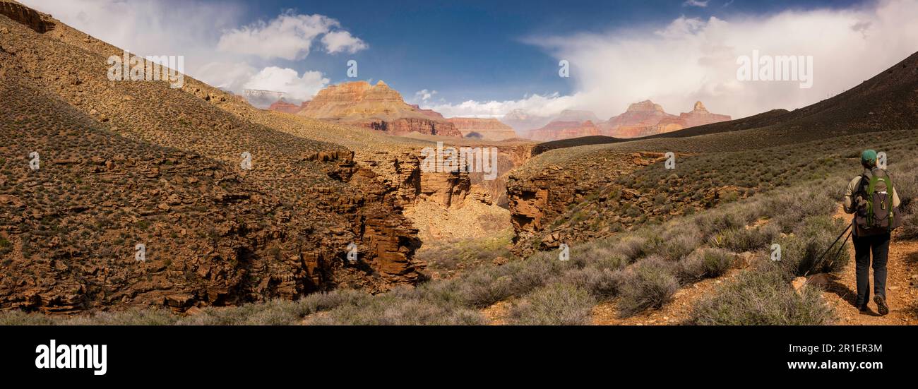 A woman backpacks along the Tonto Trail, with Zoroaster Temple in the ...