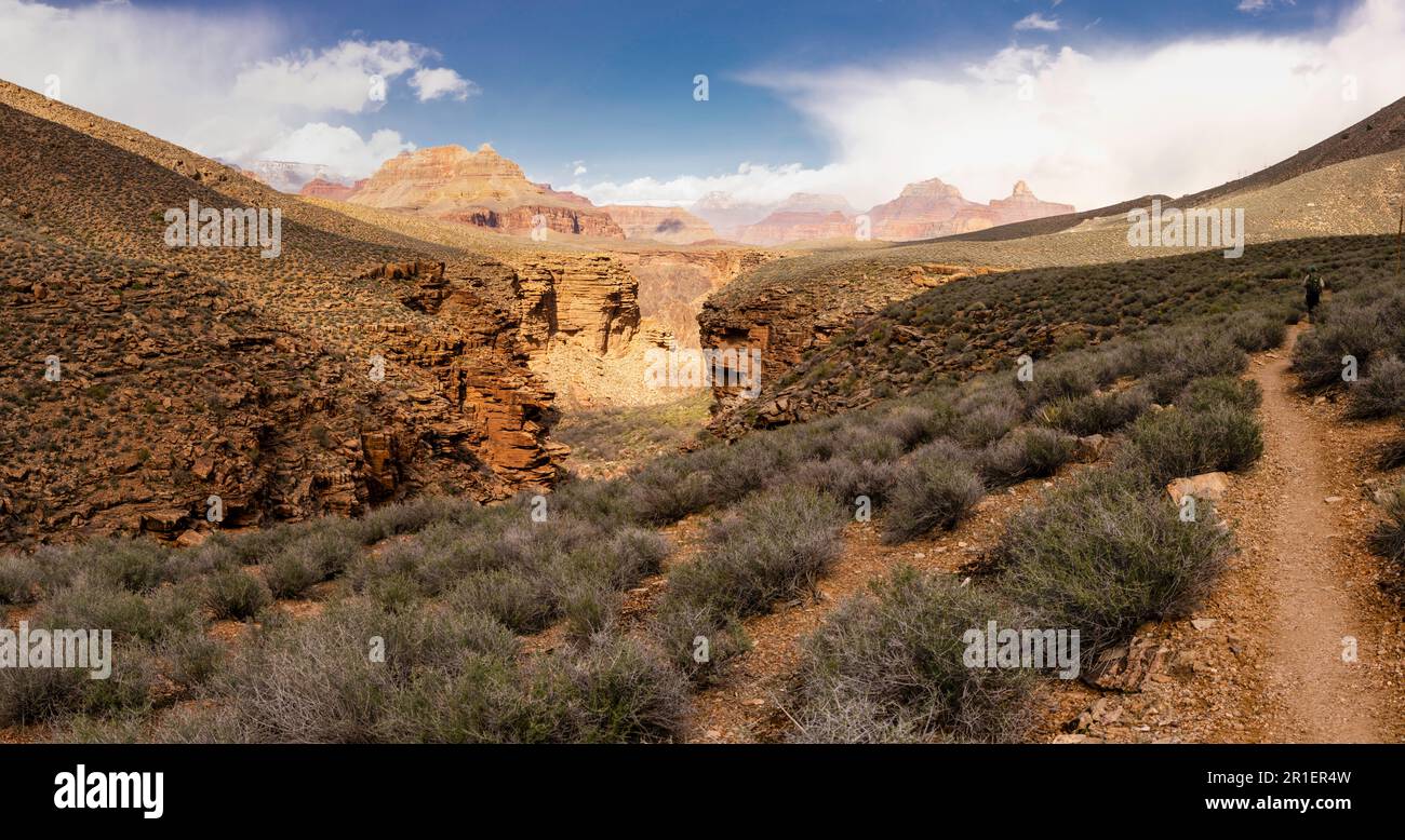 A woman backpacks along the Tonto Trail, with Zoroaster Temple in the ...