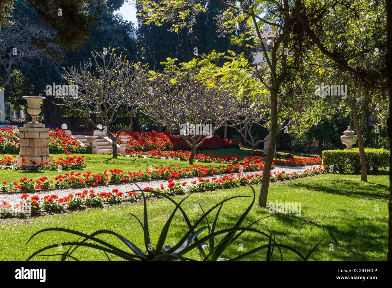 Field field neat green small hi-res stock photography and images - Alamy