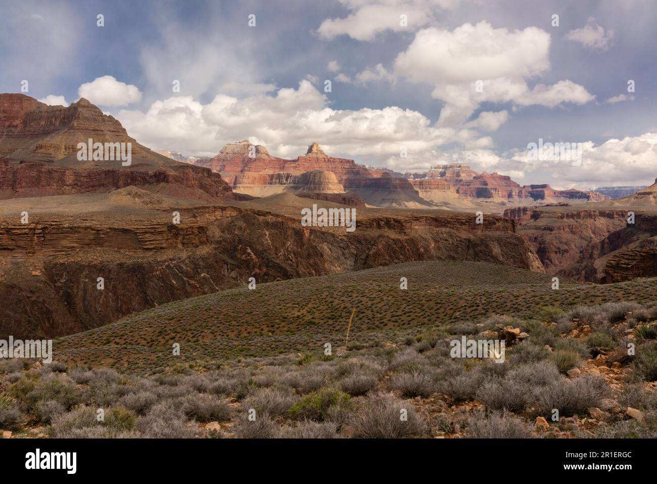 Zoroaster Temple in the distance. Along the Tonto Trail, Grand Canyon ...