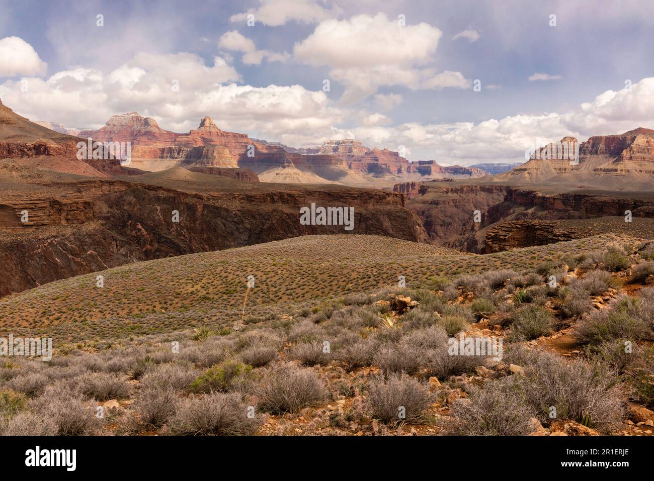 Zoroaster Temple in the distance. Along the Tonto Trail, Grand Canyon ...