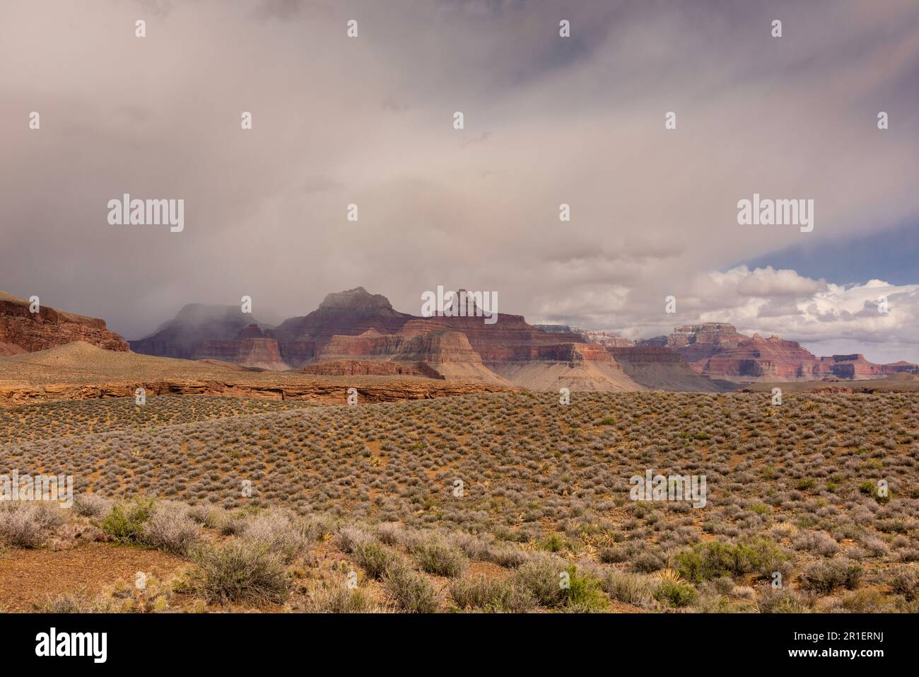 Zoroaster Temple in the distance. Along the Tonto Trail, Grand Canyon ...