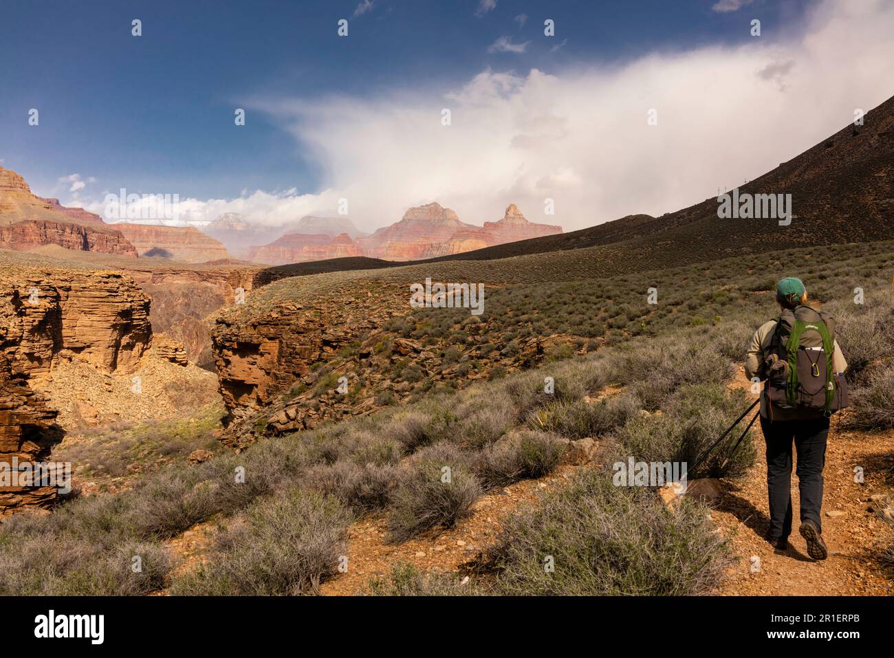 A woman backpacks along the Tonto Trail, with Zoroaster Temple in the ...