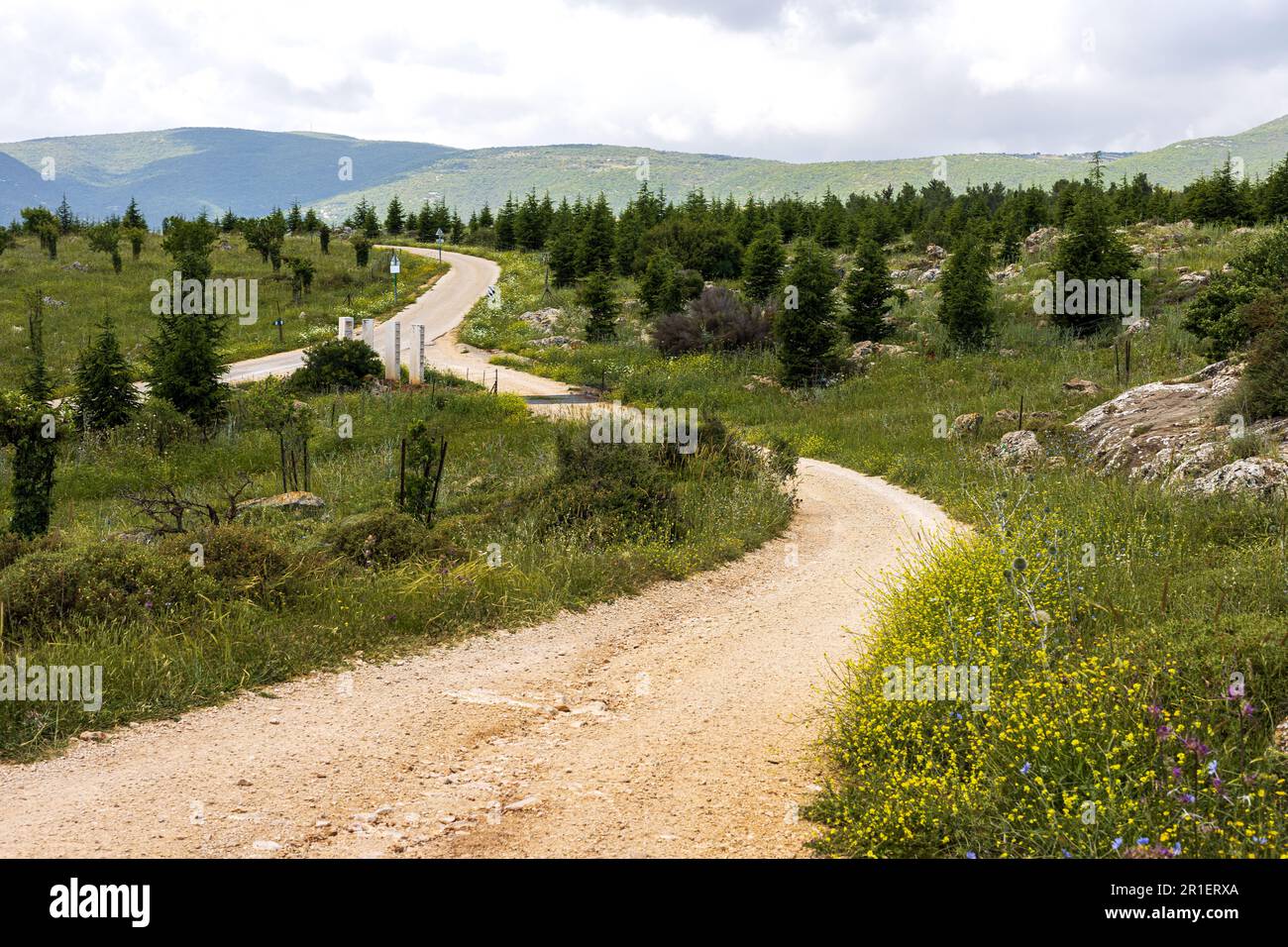 Mount Meron is a mountain in the Upper Galilee region of Israel. It has ...
