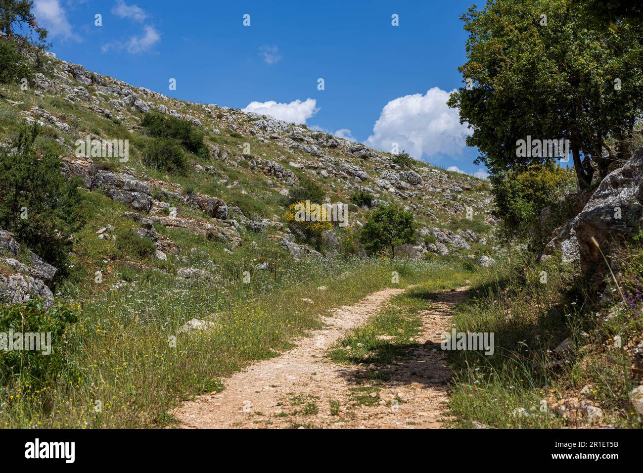 Mount Meron is a mountain in the Upper Galilee region of Israel. It has ...