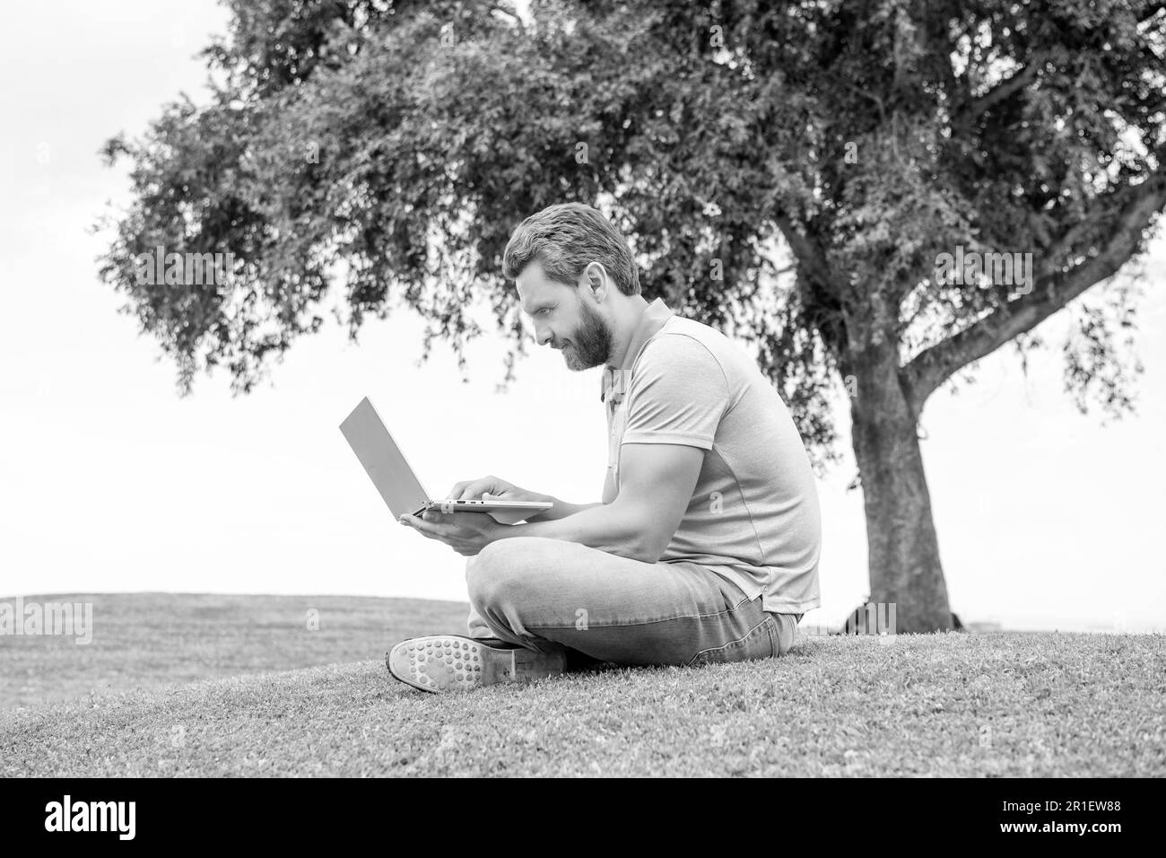 freelance man post blog online sit on grass. writing online ...