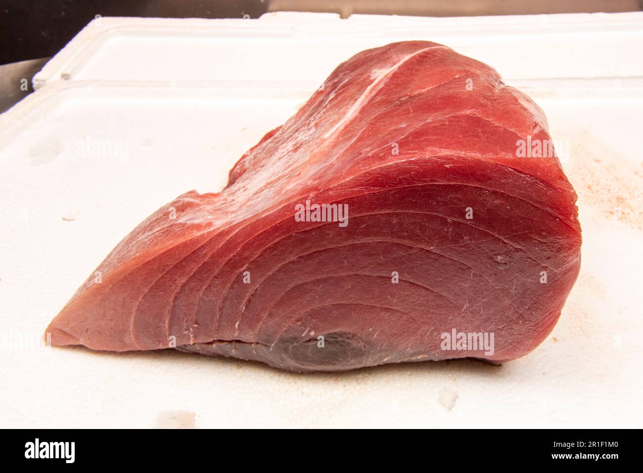 A red tuna taco ready to be filleted Stock Photo - Alamy