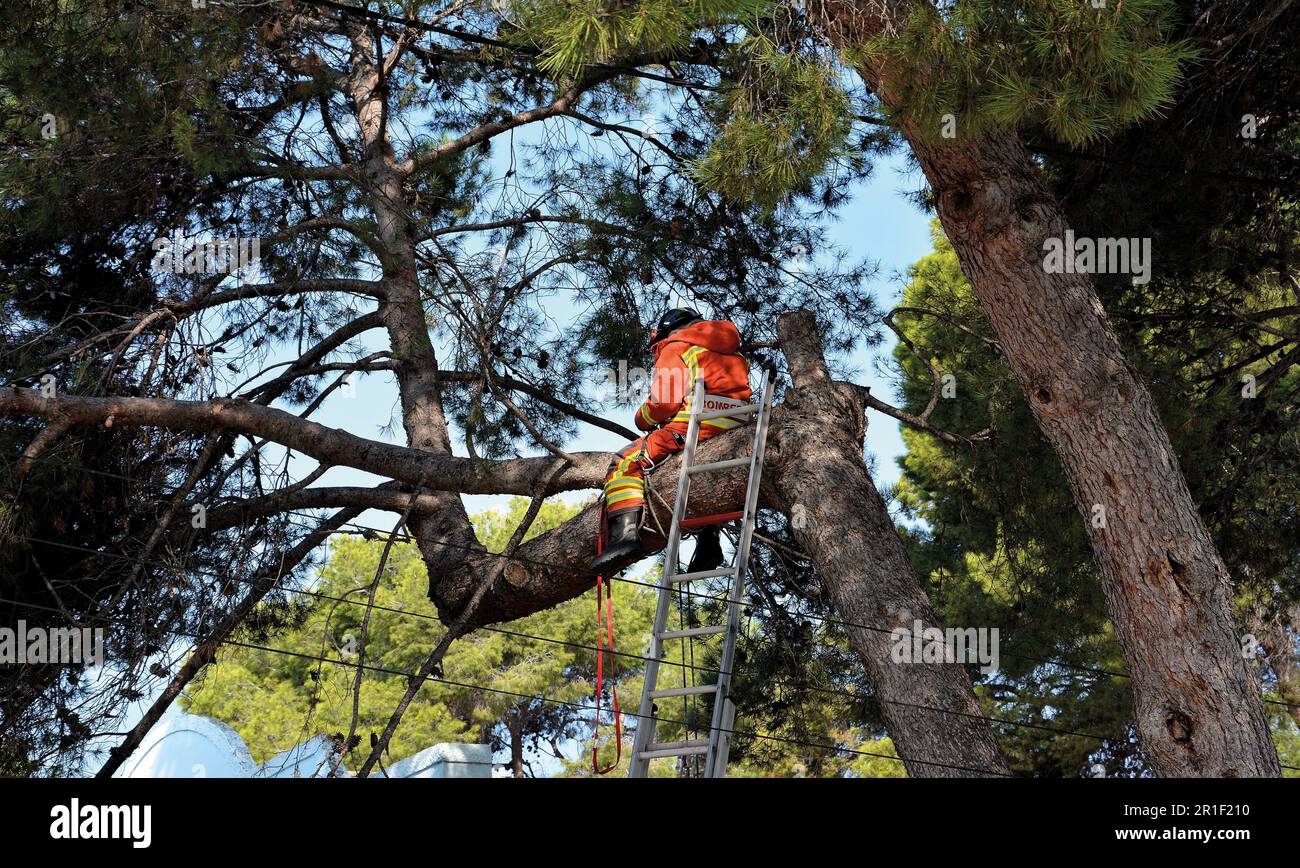 Firefighter sitting on a tree trunk, taking safety measures Stock Photo ...