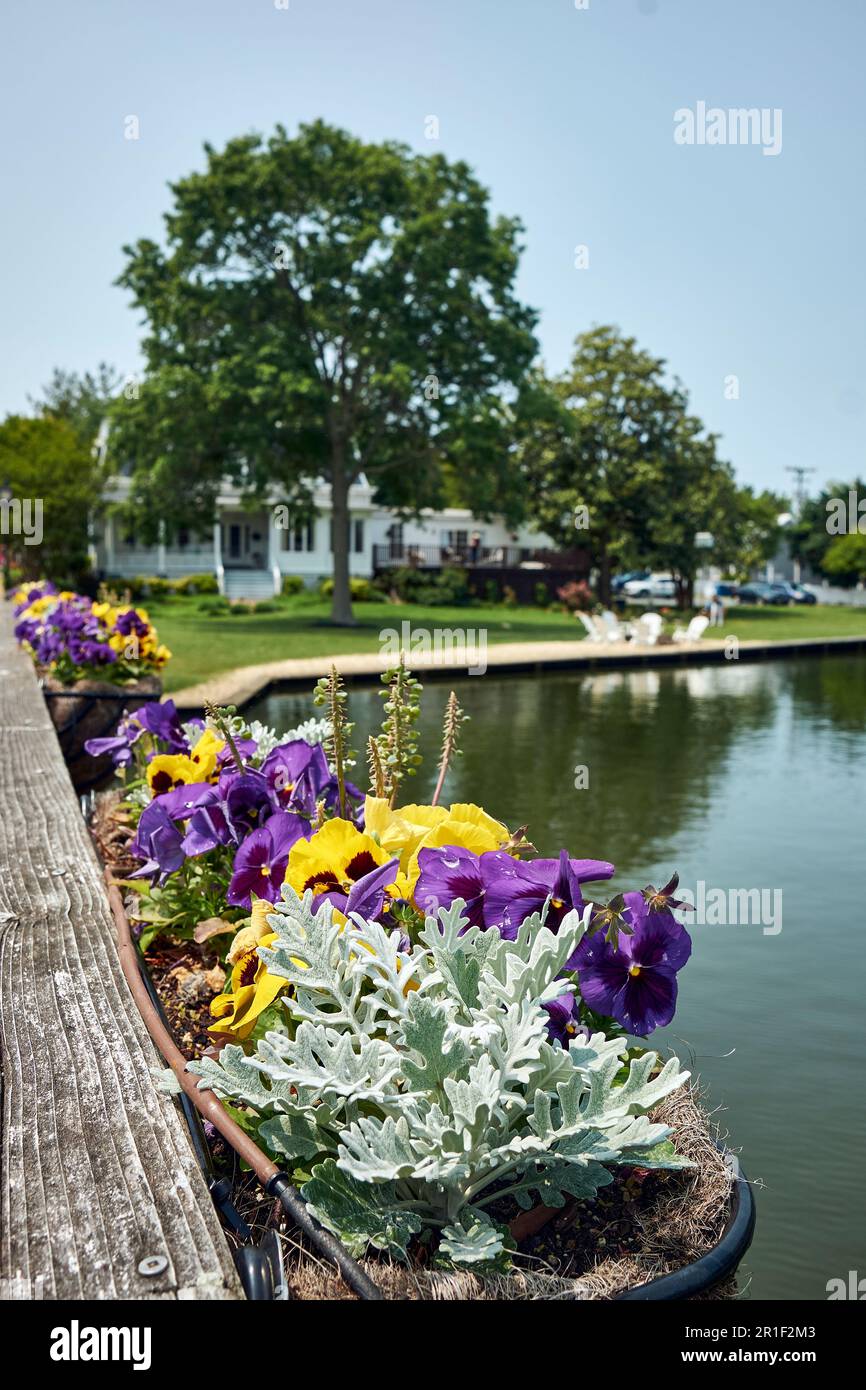Baskets of blooming flowers hang from a footbridge in the resort town ...