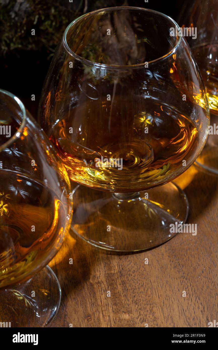 Armagnac cellar hi-res stock photography and images - Alamy