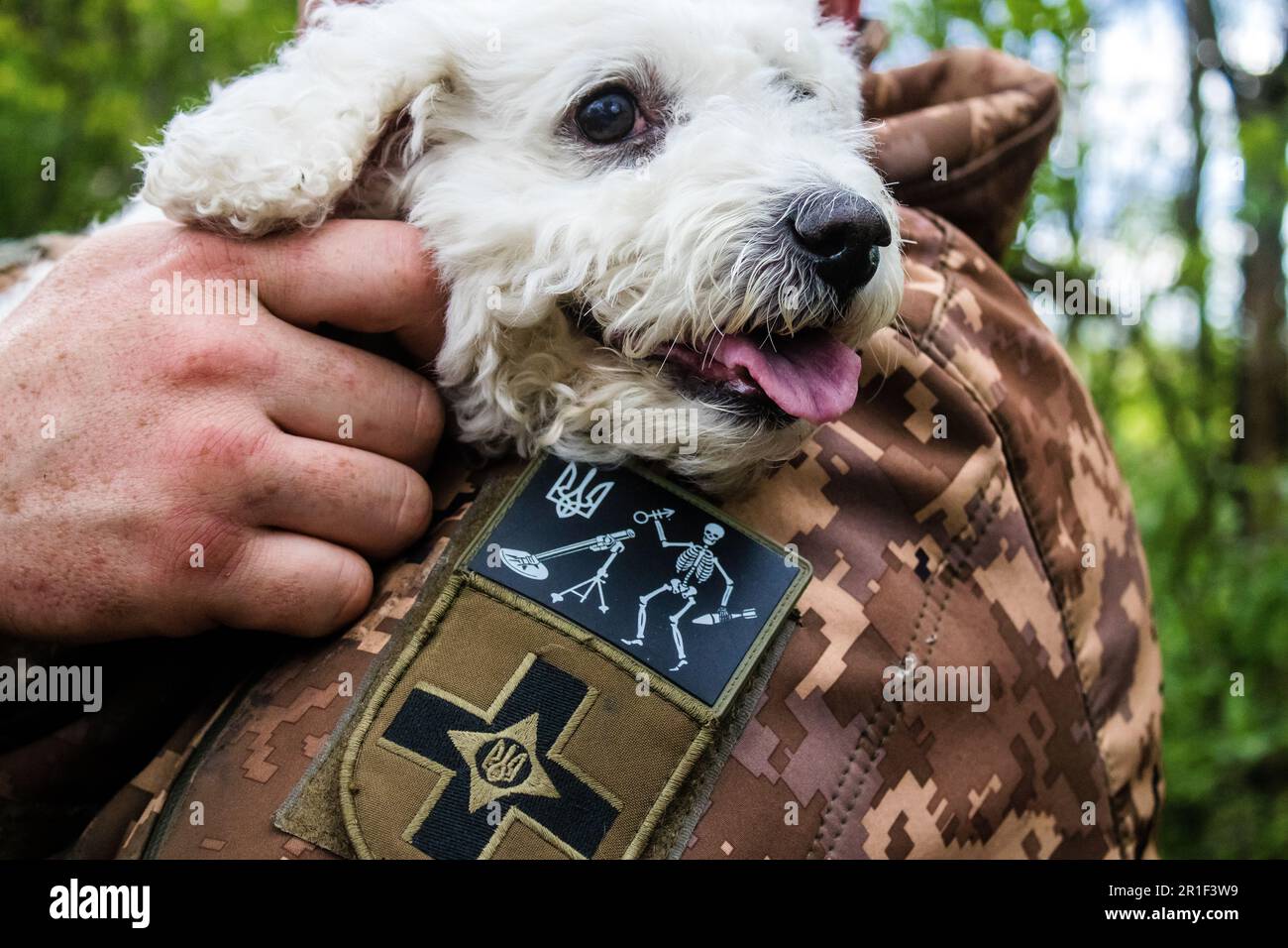Ukrainian soldier of the 28th Artillery Battalion with a tactical war ...