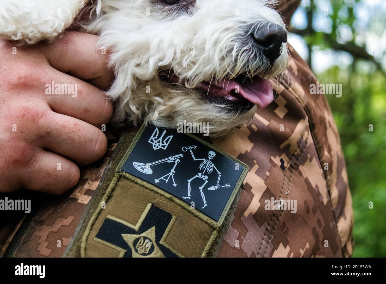 Ukrainian soldier of the 28th Artillery Battalion with a tactical war ...