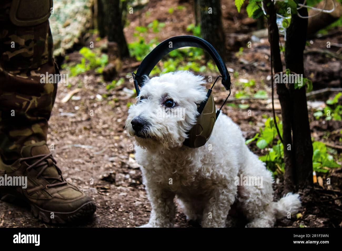 Ukrainian soldier of the 28th Artillery Battalion with a tactical war ...