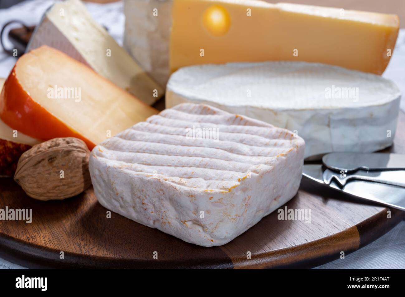 Collection of Belgian cheeses, soft yellow cow milk cheese with white ...