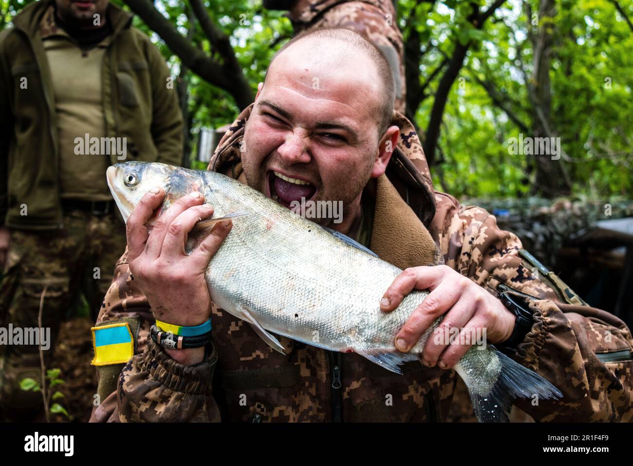 Ukrainian soldier from the 28th Artillery Battalion cooking fishes that ...