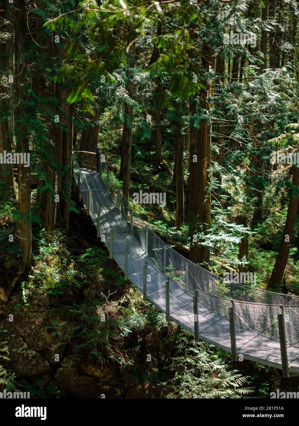 A suspension bridge in Cascades Provincial Park, British Columbia ...