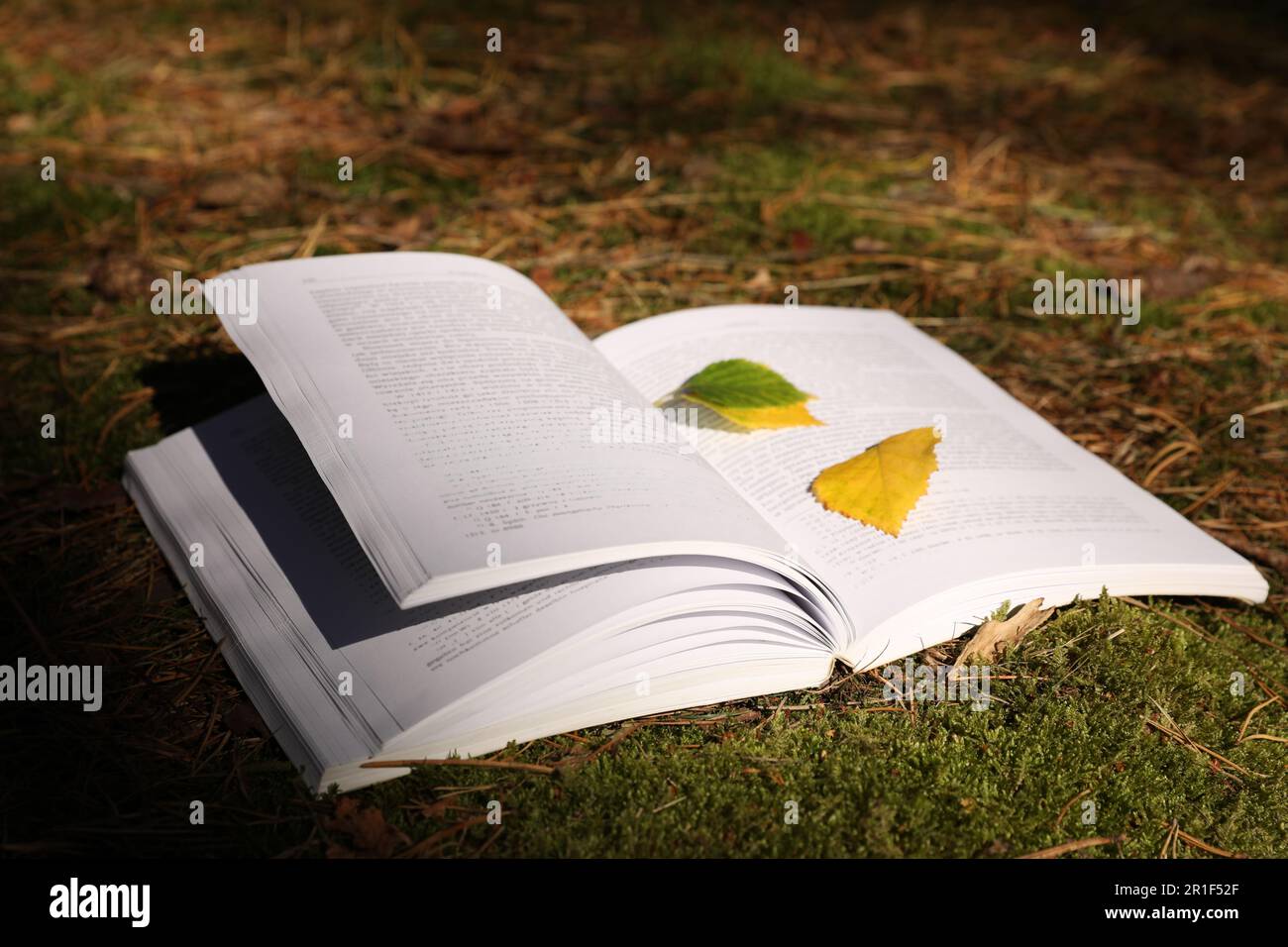 Open book and leaves on grass outdoors Stock Photo - Alamy