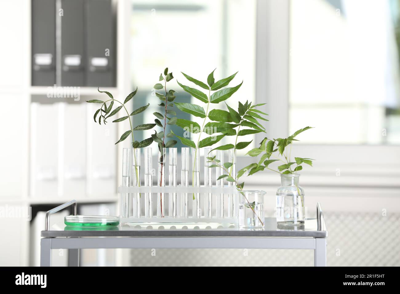 Sample plants in test tubes hi-res stock photography and images - Alamy