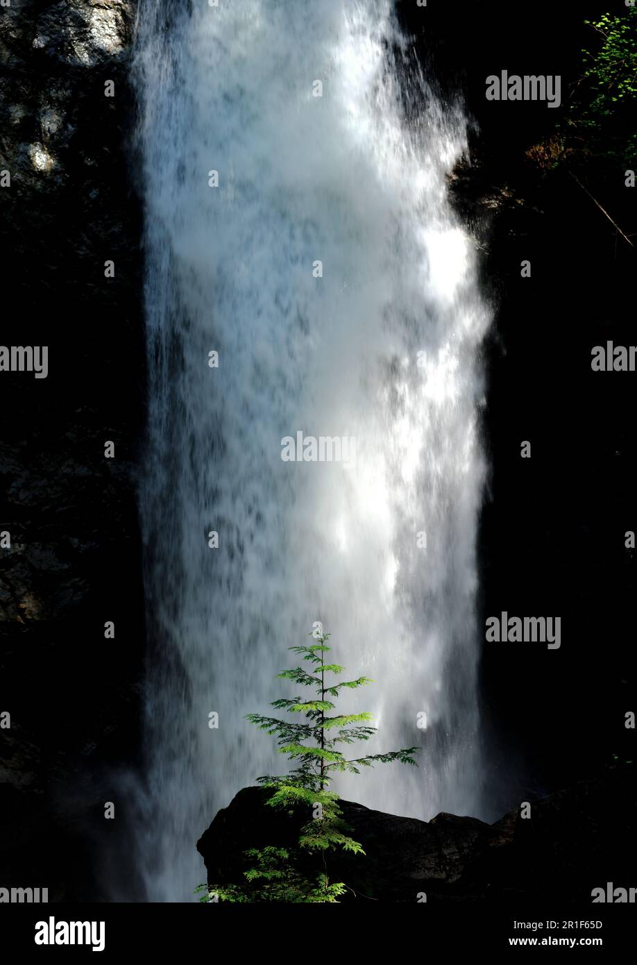 The Cascades Waterfall in a provincial park in British Columbia, Canada ...