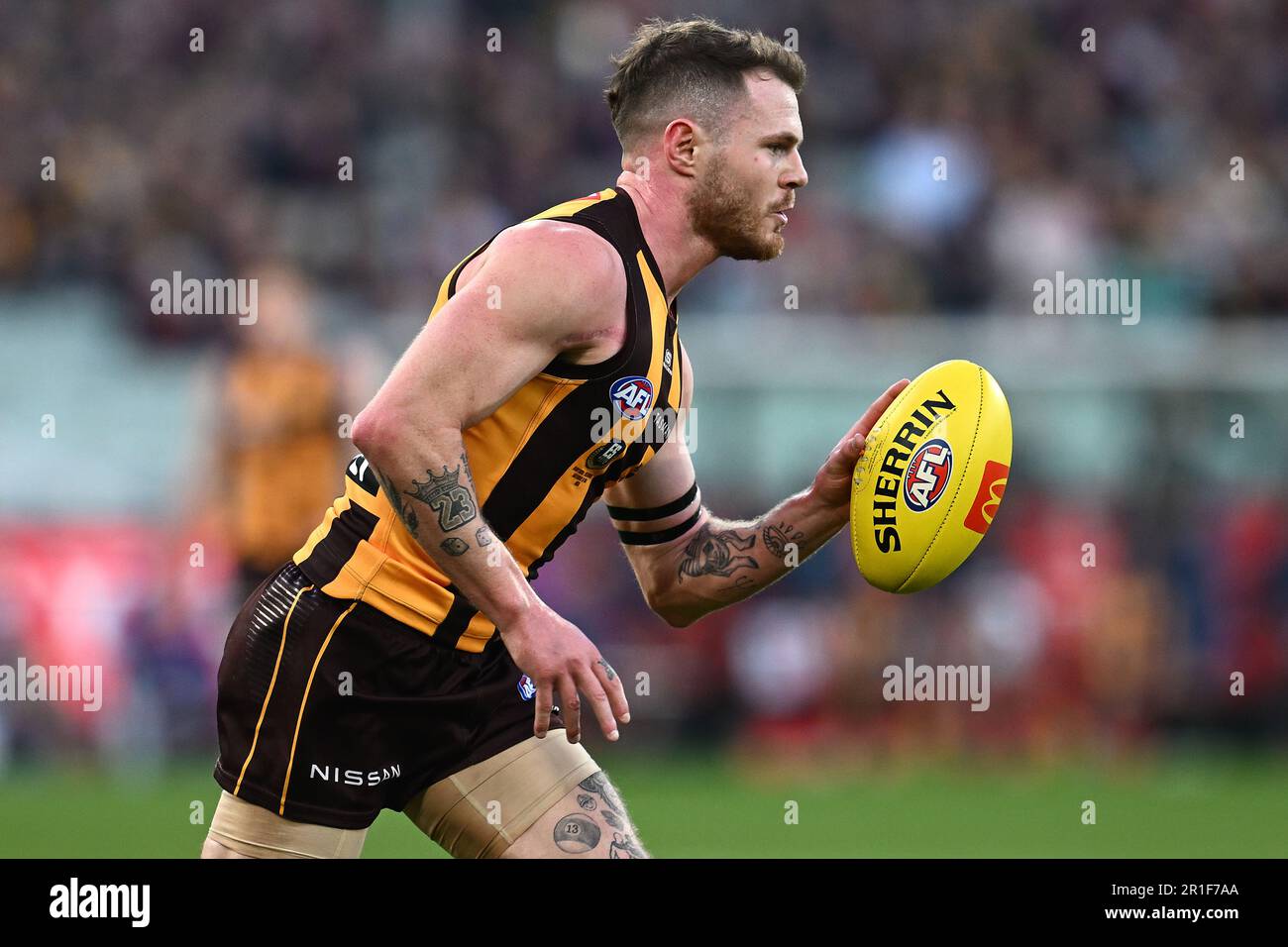 Blake Hardwick of Hawthorn during the AFL Round 9 match between the ...