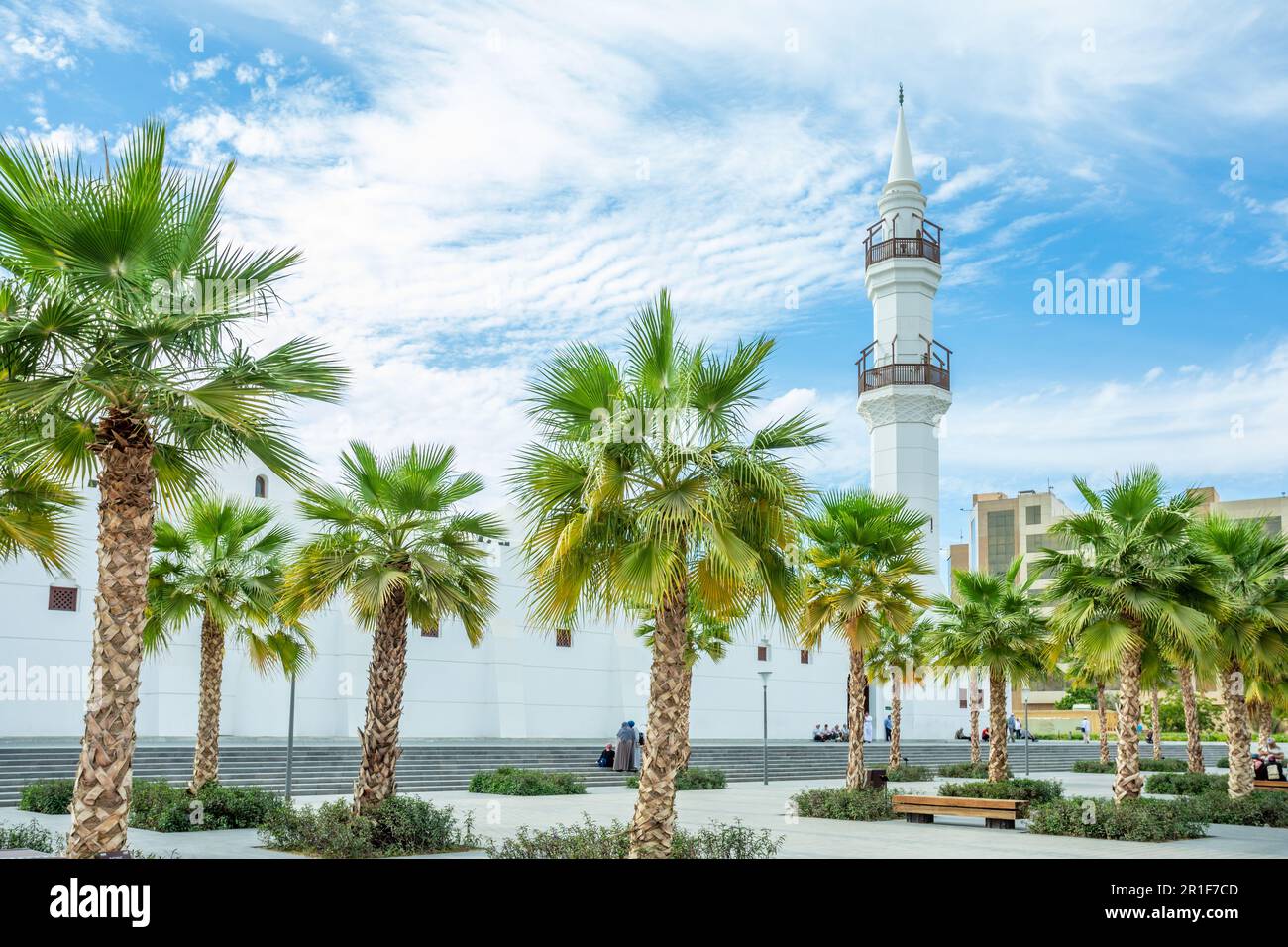 White Jaffali mosque with palms in foreground, Jeddah, Saudi Arabia ...