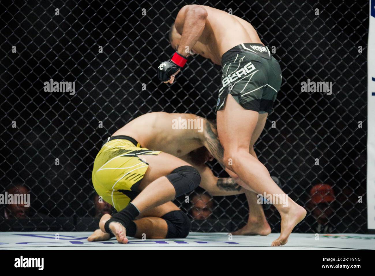Knockout images hi-res stock photography and images - Alamy