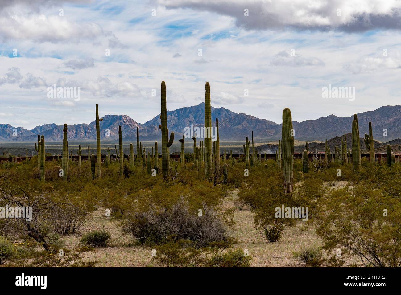 National border monument hi-res stock photography and images - Alamy