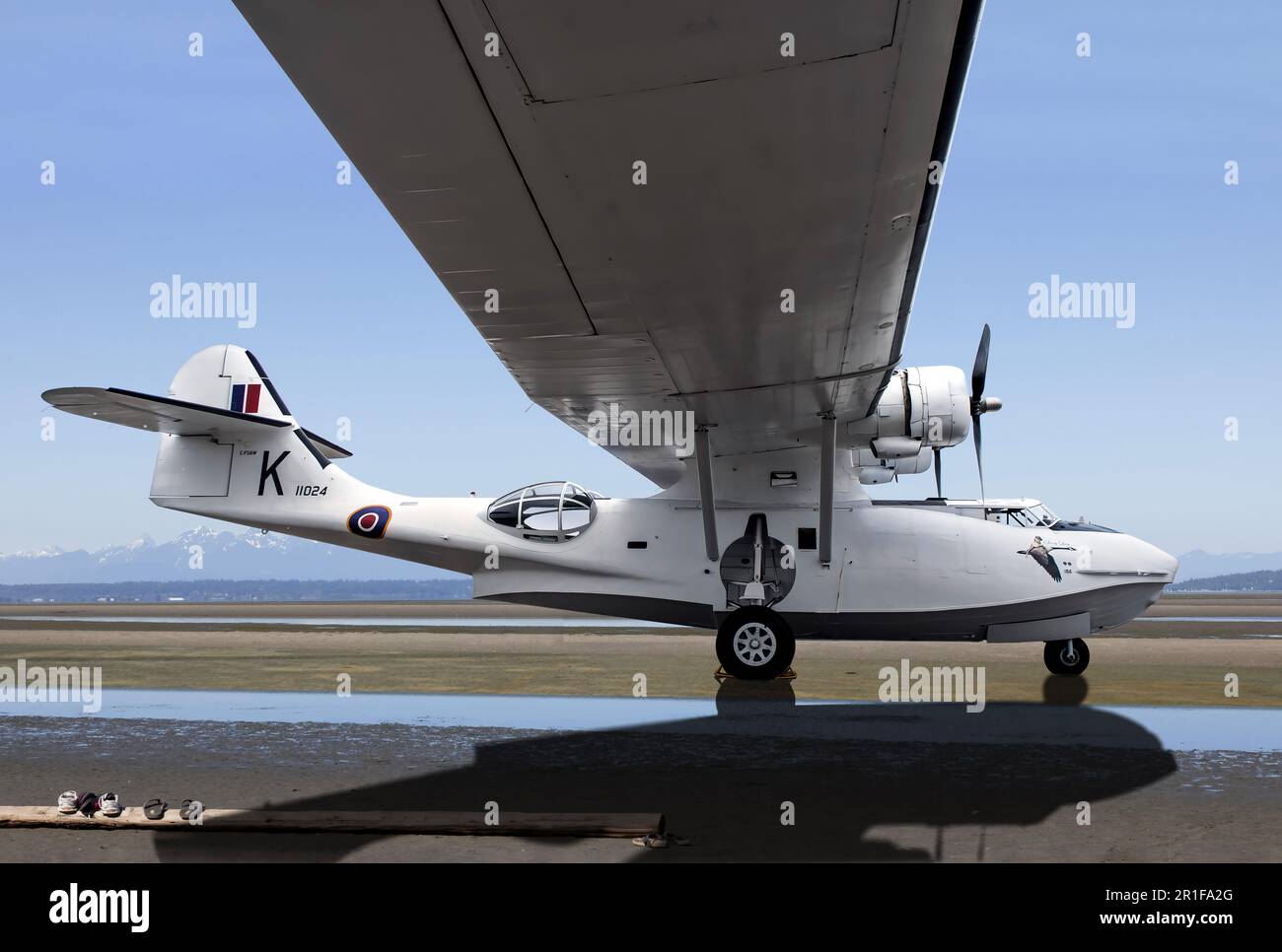Consolidated PBY Catalina - Canso on Boundary Bay beach Canada Stock ...