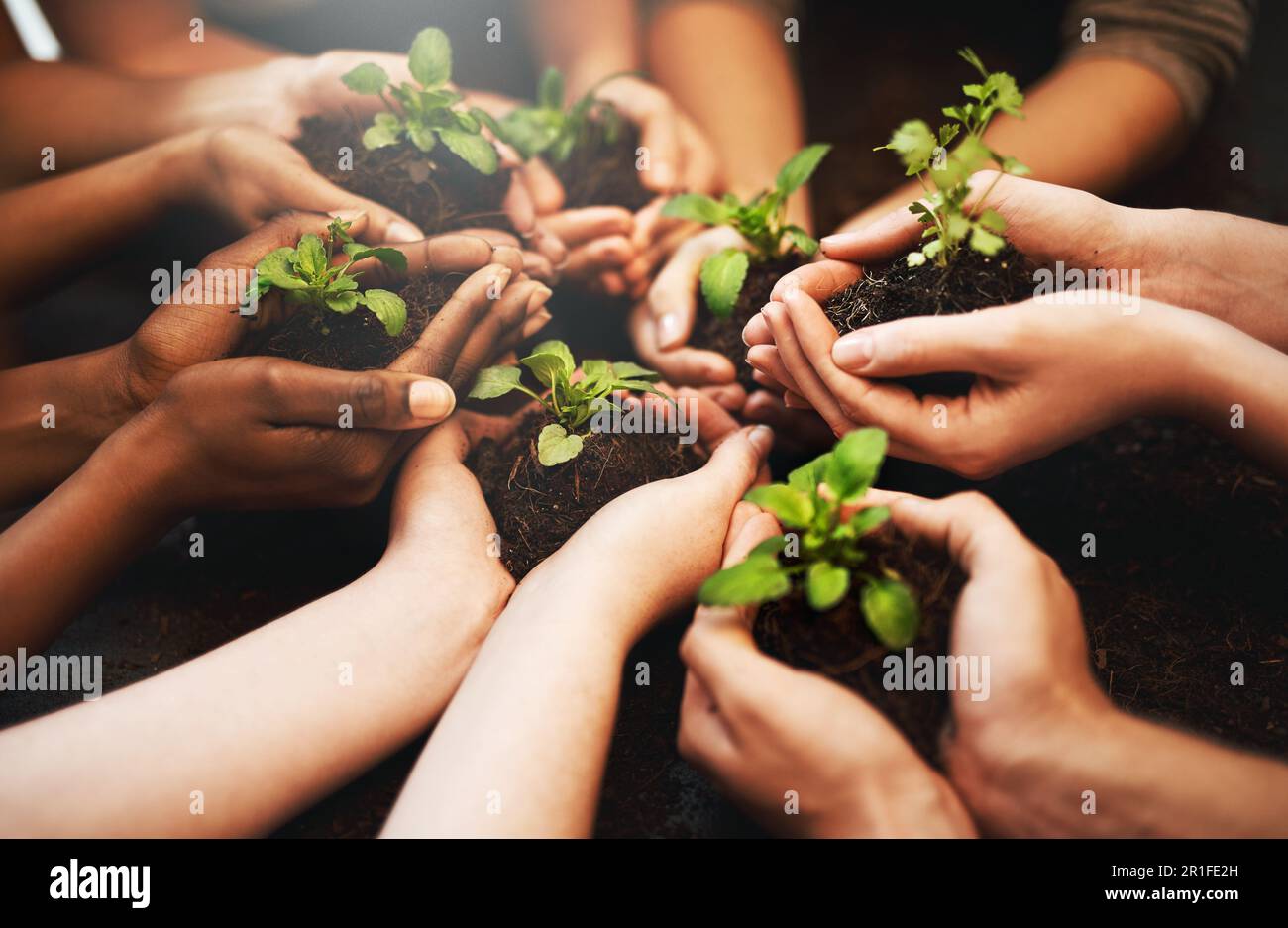 Hands together, plant soil and nature growth with sustainability and ...