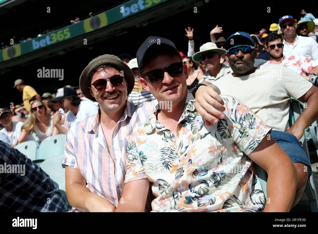 Cricket crowd catch hi-res stock photography and images - Alamy