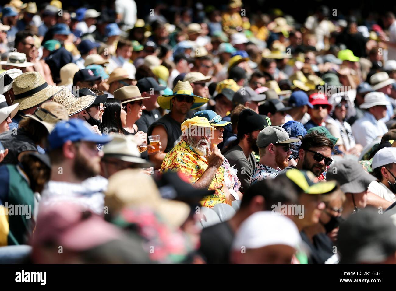 Ashes cricket australia crowd cheering hi-res stock photography and ...