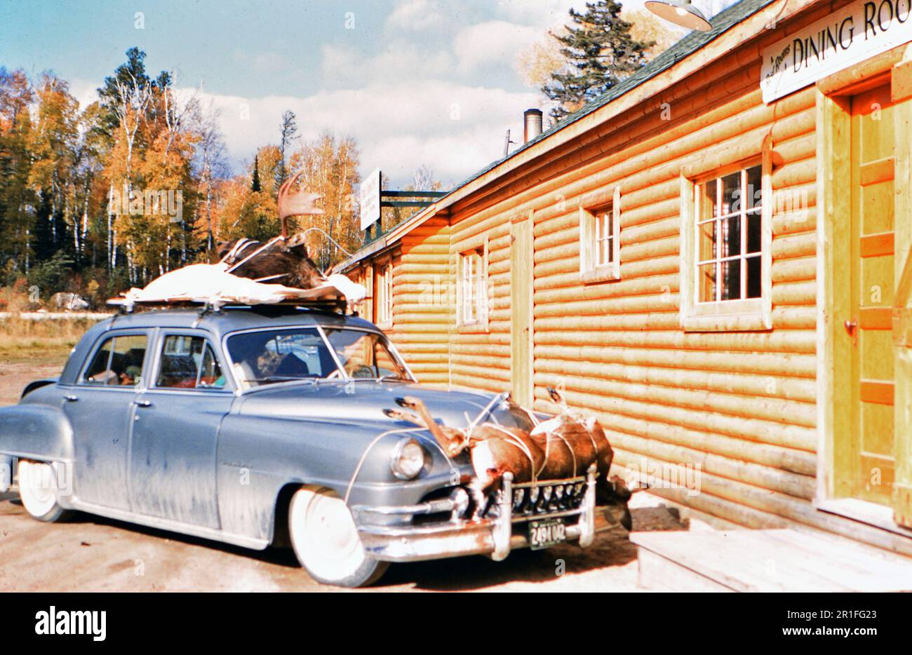 Deer tied to front grill hi-res stock photography and images - Alamy