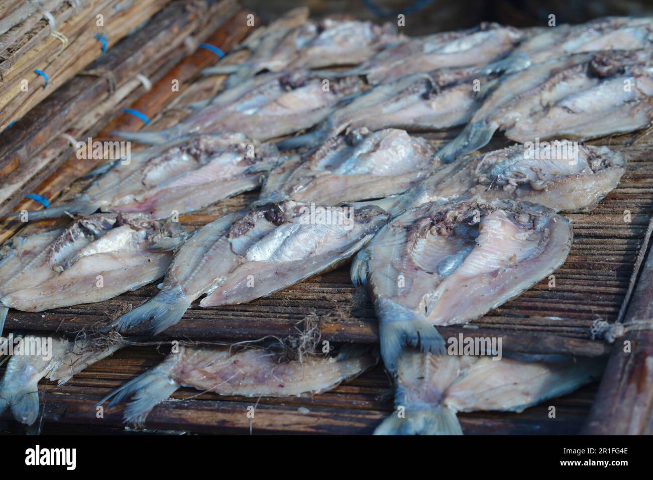 Traditional process of drying the salted fish under direct sunlight in ...