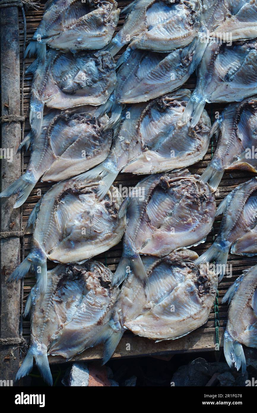 Traditional process of drying the salted fish under direct sunlight in ...