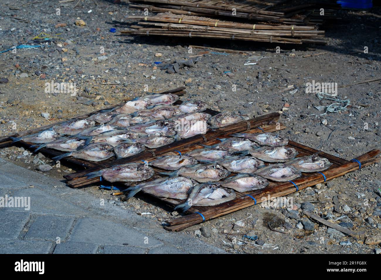 Traditional process of drying the salted fish under direct sunlight in ...