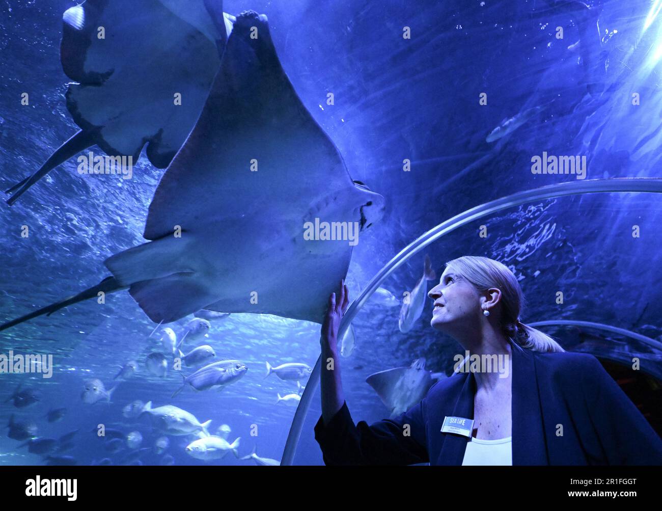Anja nitsch hi-res stock photography and images - Alamy