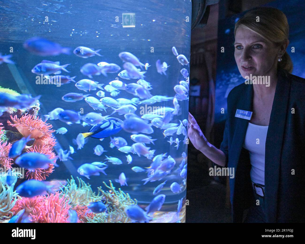 Anja nitsch hi-res stock photography and images - Alamy