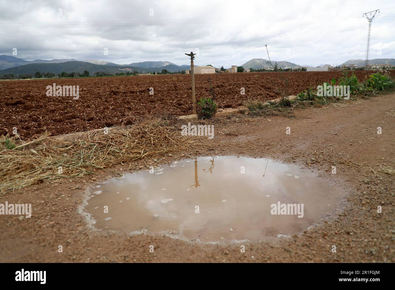 Sa Pobla, Spain. 13th May, 2023. A puddle of water stands next to a ...