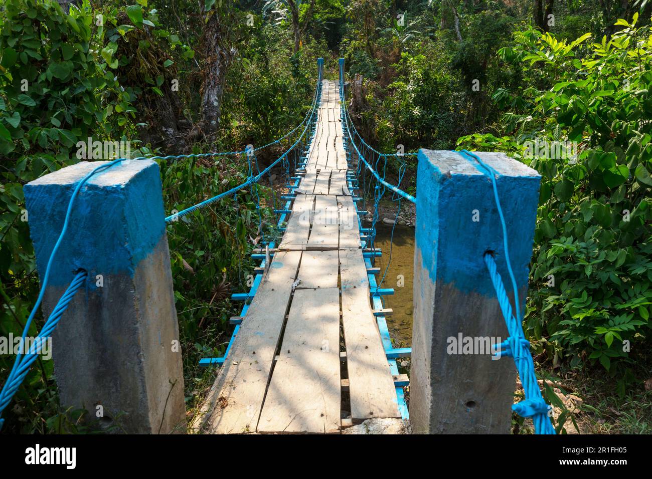 Suspension bridge in tropical jungle Stock Photo - Alamy