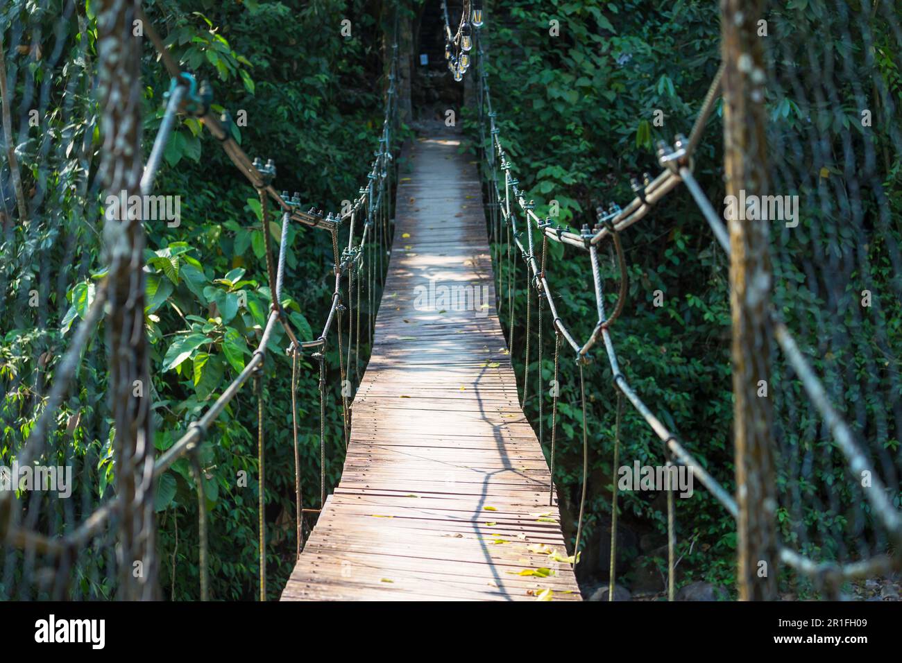 Suspension bridge in tropical jungle Stock Photo - Alamy