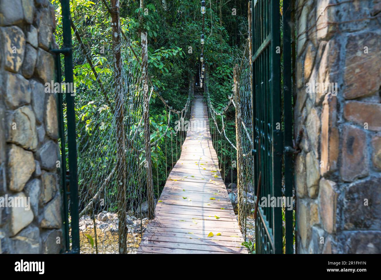 Suspension bridge in tropical jungle Stock Photo - Alamy